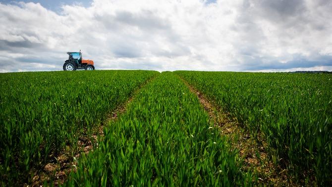 Feed the world | Strategy&