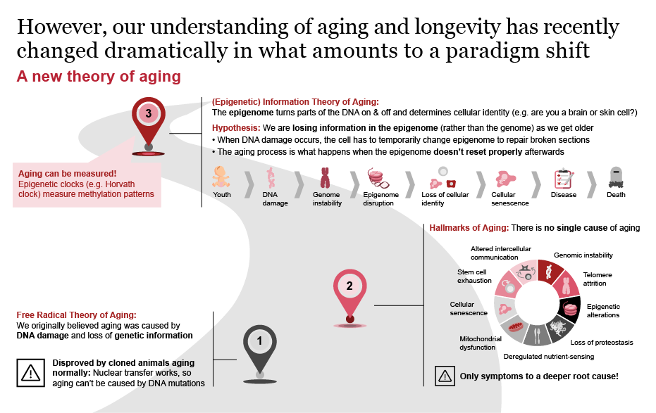 The potential of longevity therapeutics | Strategy&