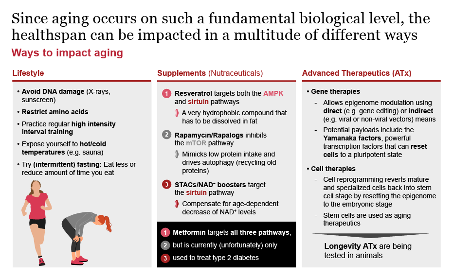 The potential of longevity therapeutics | Strategy&