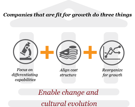 Fit for Growth book: A practical approach to business transformation ...