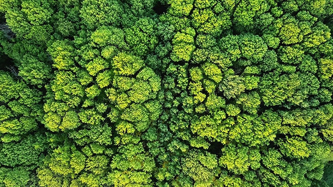 Unlocking the Green Premium in Private Equity