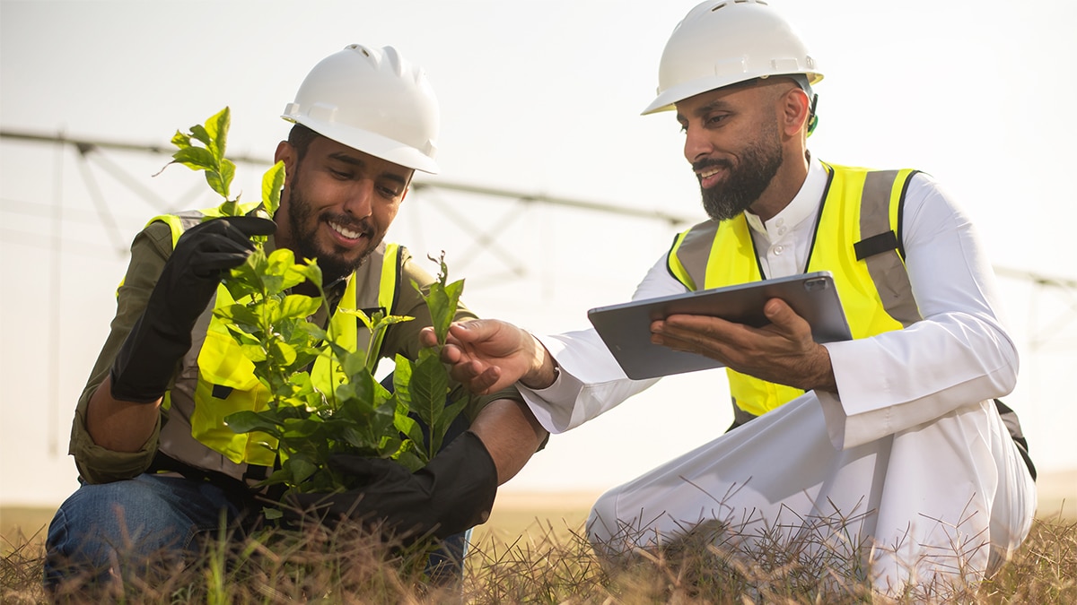 Pilot farms empower small farmers | Strategy& Middle East