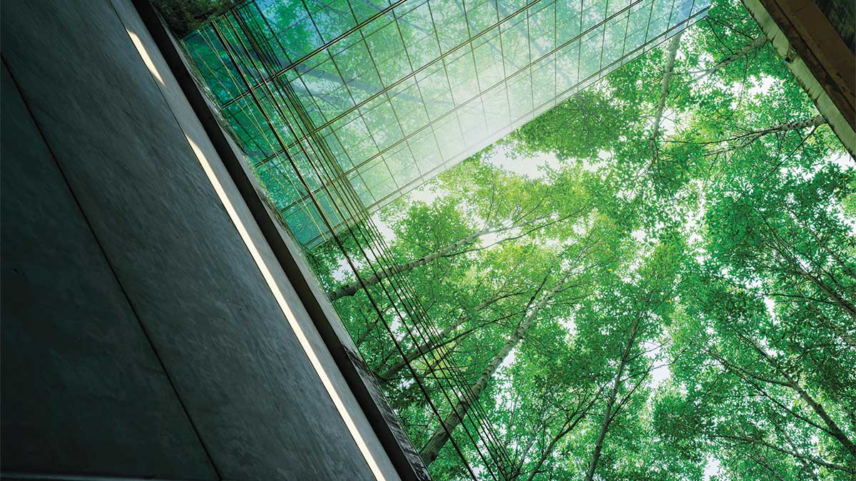 The decarbonization of logistics | Strategy& Middle East