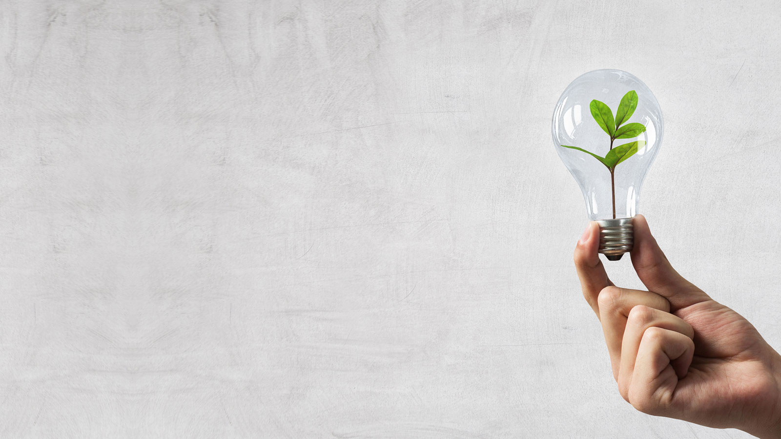 ESG-driven innovation in the chemical industry | Strategy& Türkiye