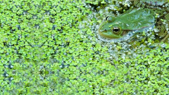 Capabilities-Driven Strategy + Growth | Strategy& Türkiye